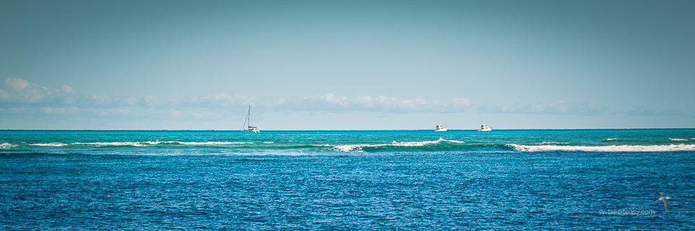 The Treasures of Fitzroy Reef | Sv-Anui