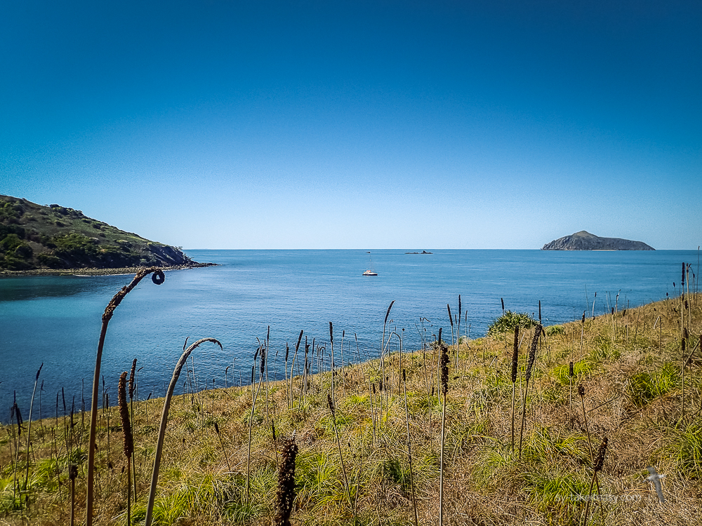 Playing Explorers – Curlew & Digby Islands | Sv-Anui