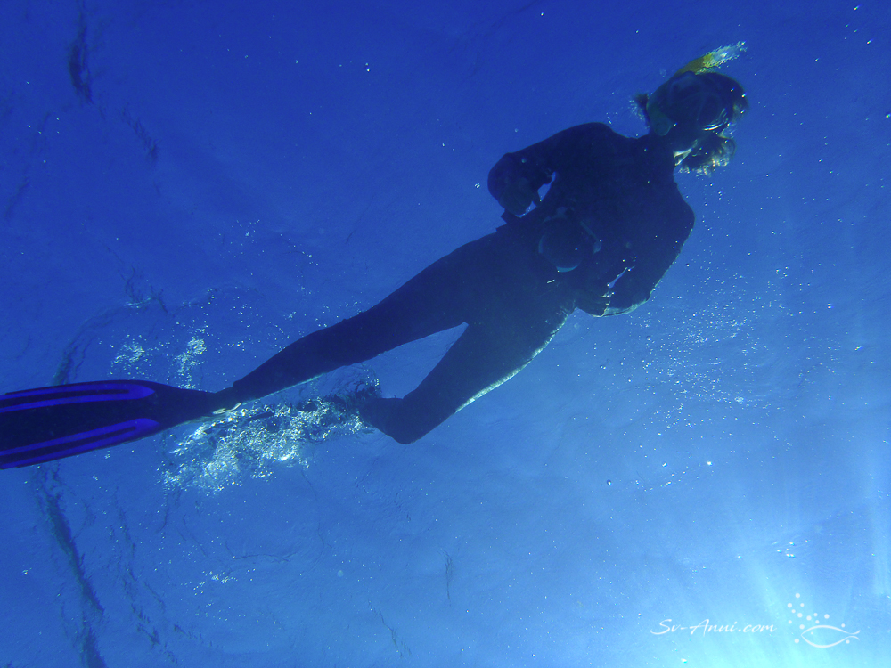 Back to Milln Reef | Sv-Anui