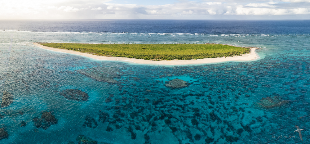 Rock & Rolly Chilcott Islet | Sv-Anui