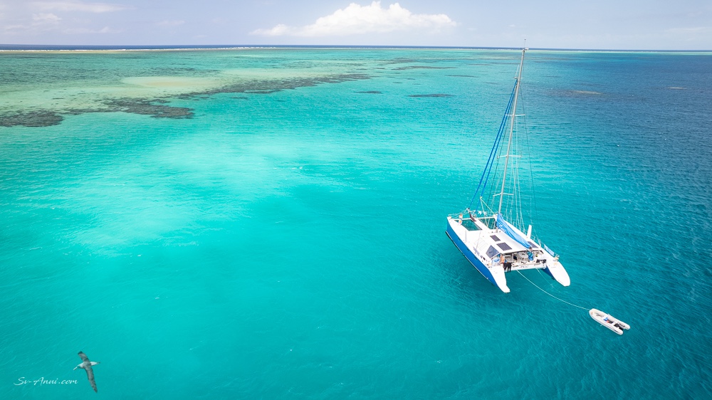 First Four of the Far North Hops! | Sv-Anui