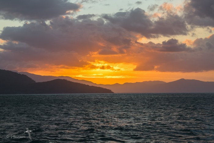 Reef hopping offshore of Cairns | Sv-Anui