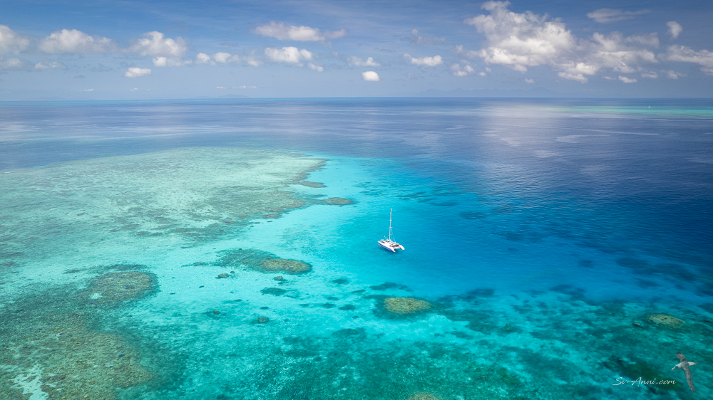 Reef hopping off Hinchinbrook and Townsville | Sv-Anui