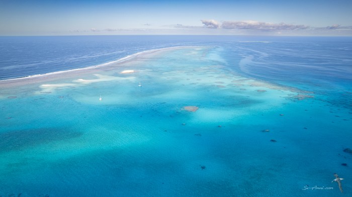Coral Sea Atolls: Kenn Reefs | Sv-Anui
