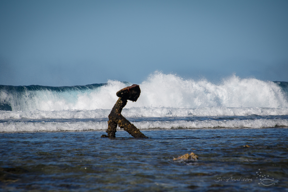 Coral Sea Atolls: Kenn Reefs | Sv-Anui