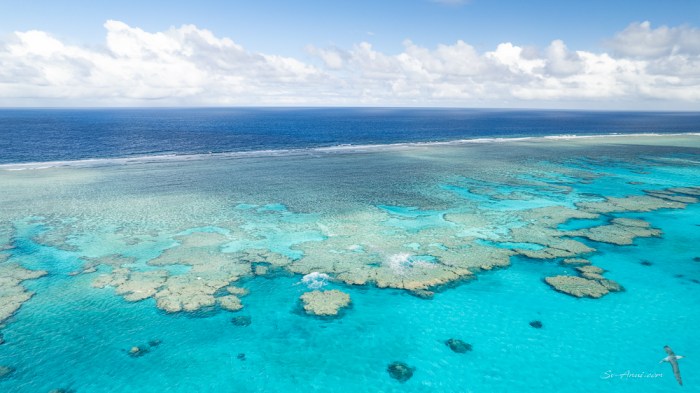 Fourth Coral Sea Atoll: The Saumarez Reefs | Sv-Anui
