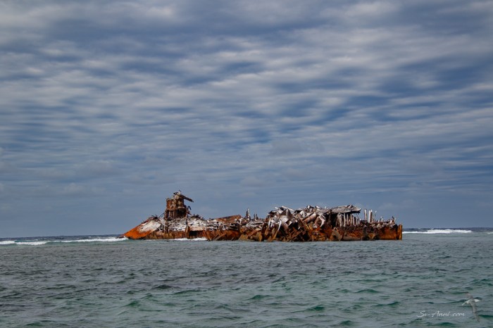 Fourth Coral Sea Atoll: The Saumarez Reefs | Sv-Anui