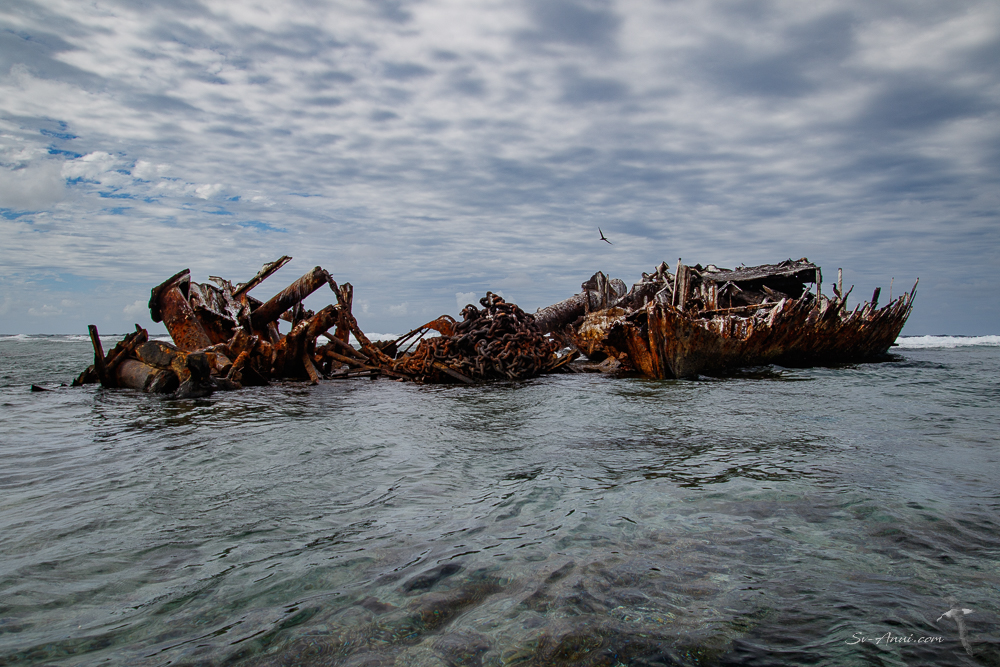Fourth Coral Sea Atoll: The Saumarez Reefs | Sv-Anui
