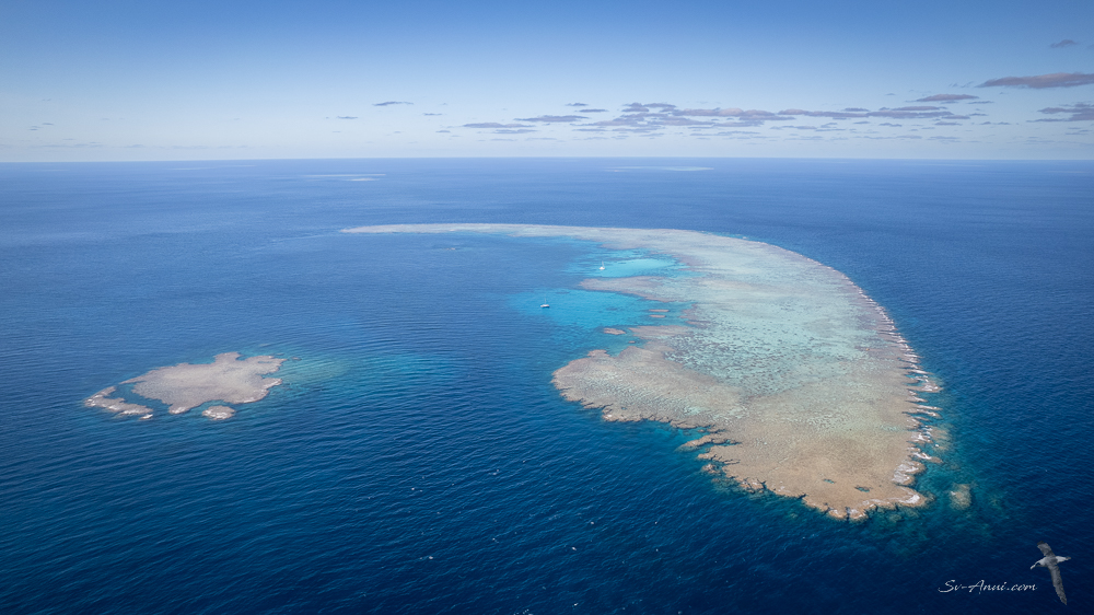 Favourite photos from the Swain Reefs | Sv-Anui