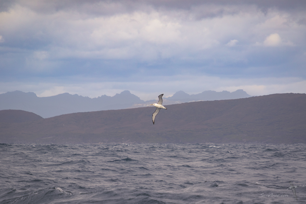 Exceptional Port Davey | Sv-Anui