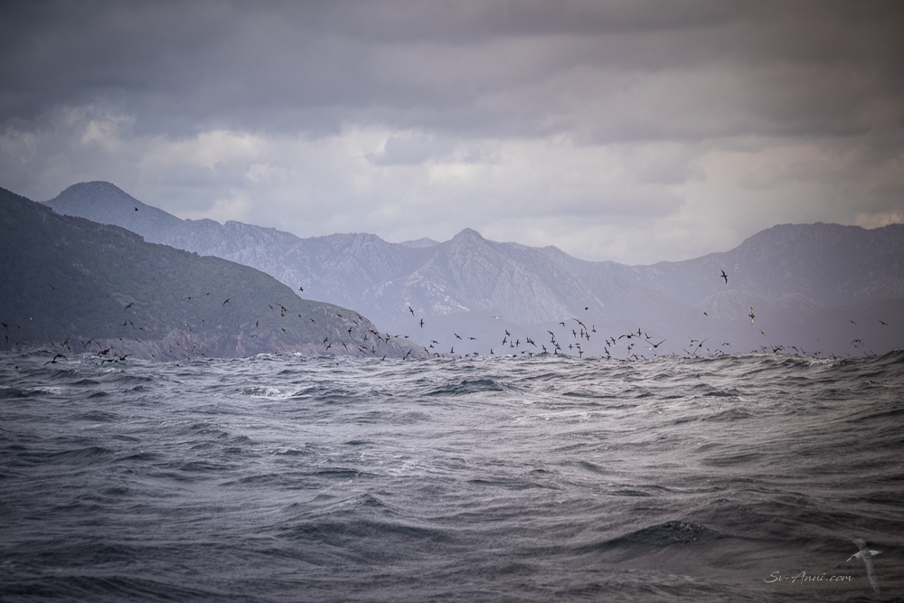 Exceptional Port Davey | Sv-Anui