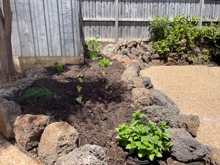 Reclaiming our Jan Juc house | Sv-Anui
